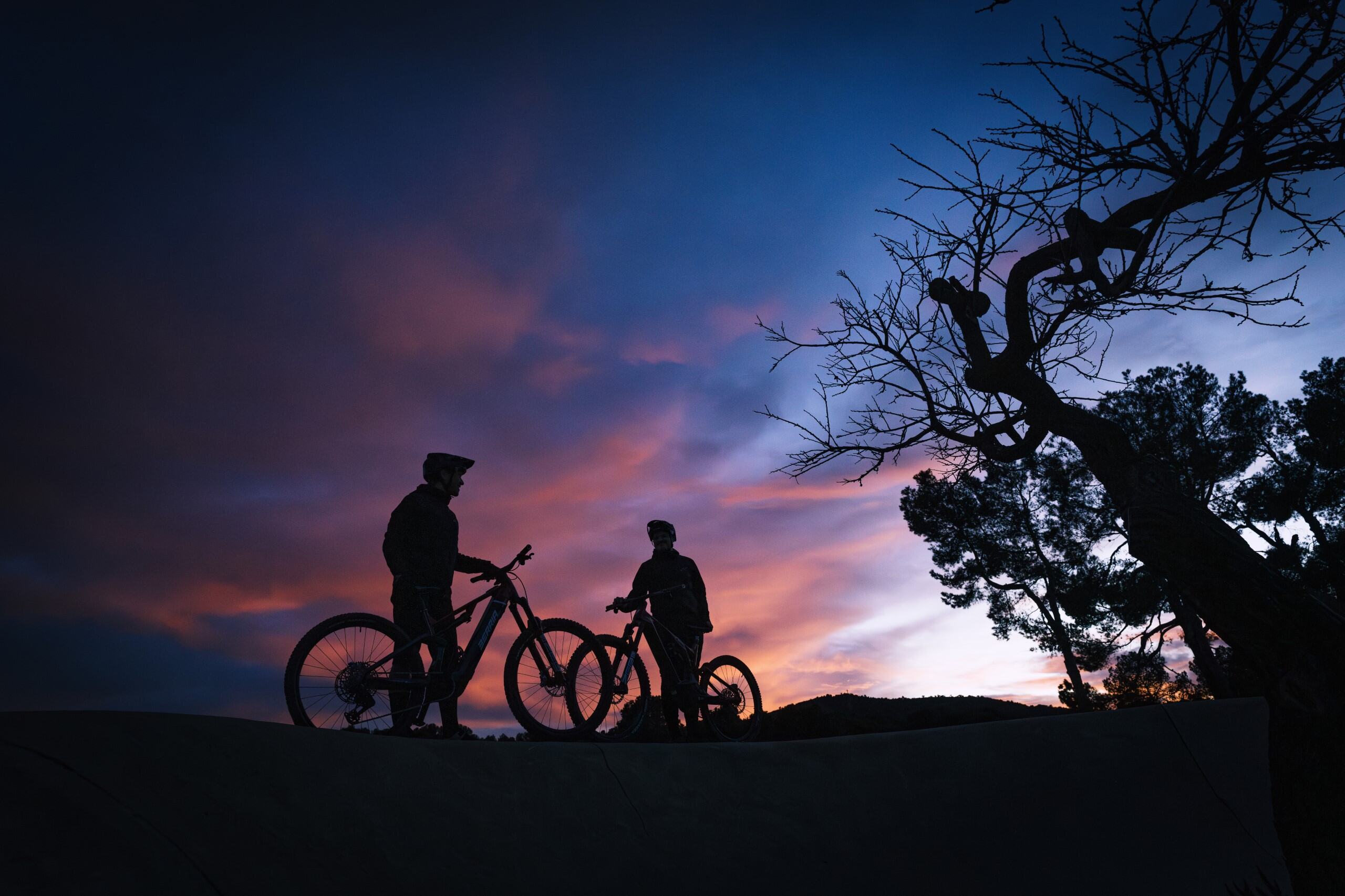 Berria Bikes | Customize your high-performance bicycle