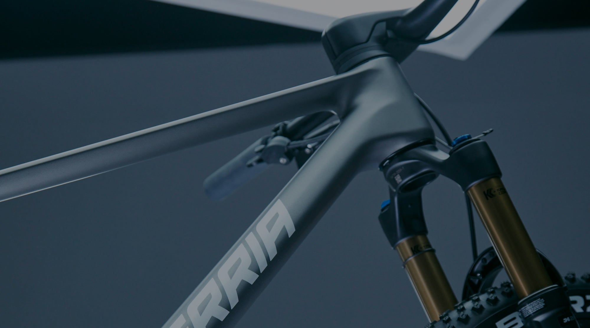 Mako – Berria Bikes