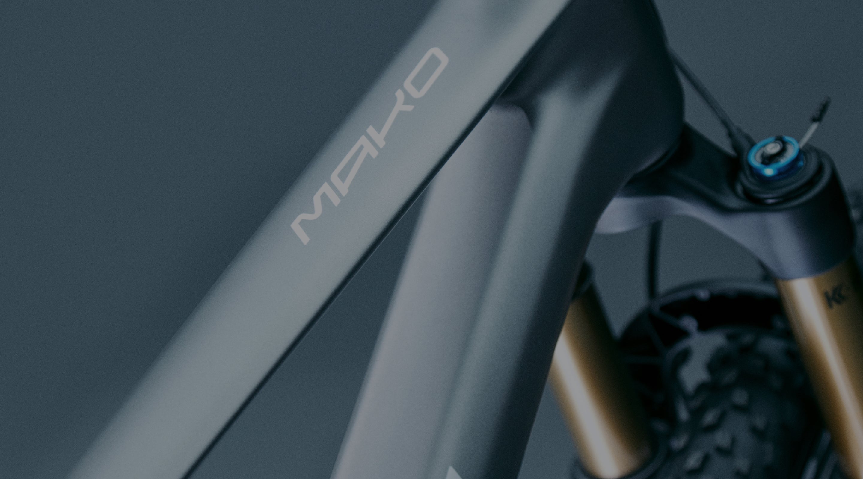 Mako – Berria Bikes